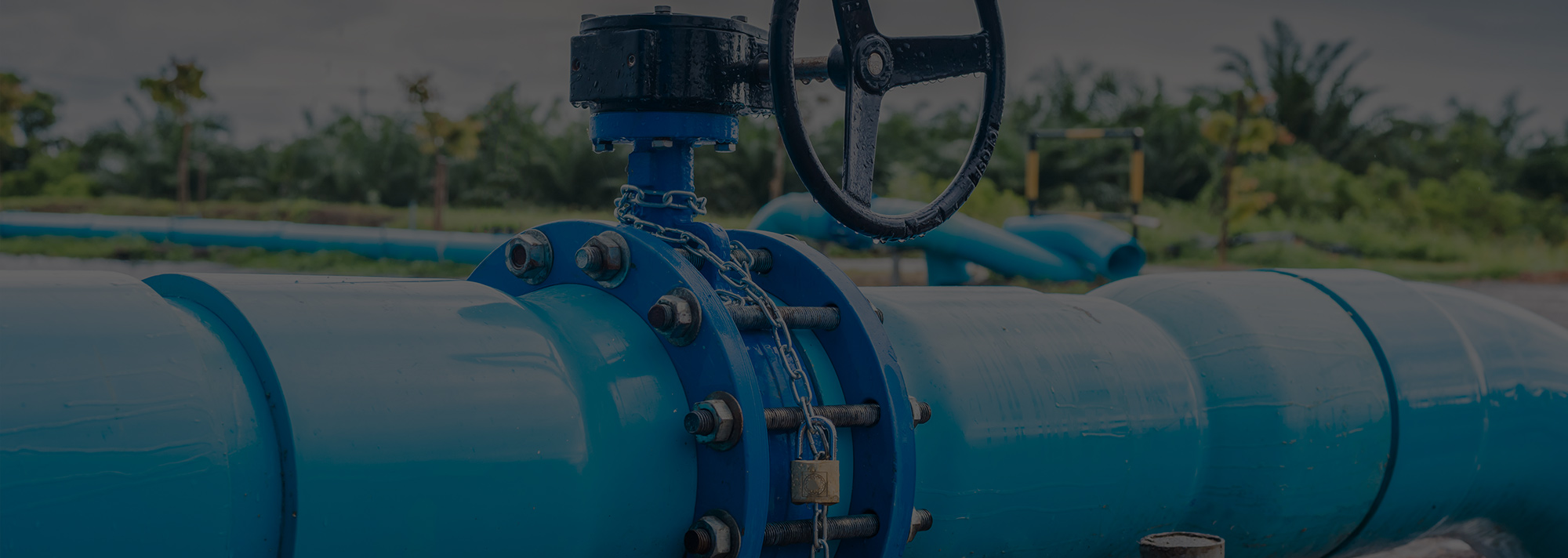 Leverage Data Analytics for a Sustainable Water Network