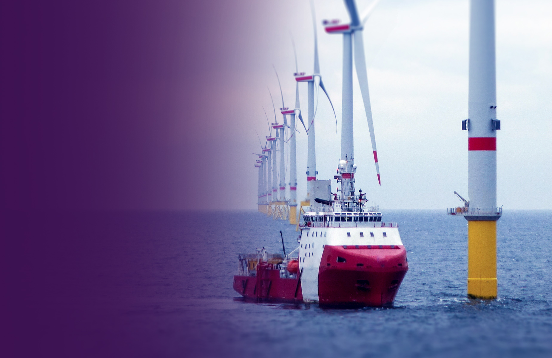 Digital Trust and Sustainability